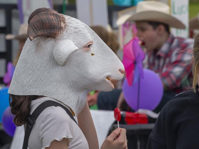 Parade kicks off Galveston County Fair & Rodeo | Local News | The Daily ...