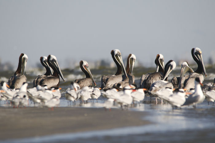 Riding the Wind | Outdoors | The Daily News