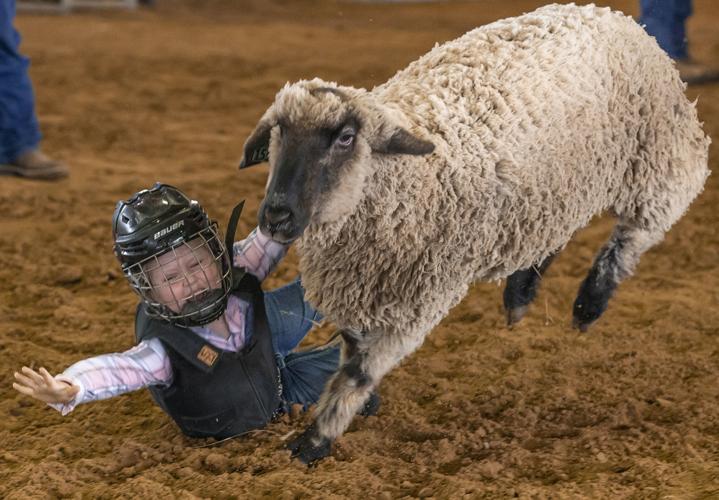 Photos: 1st Saturday of the Galveston County Fair & Rodeo | In Focus ...