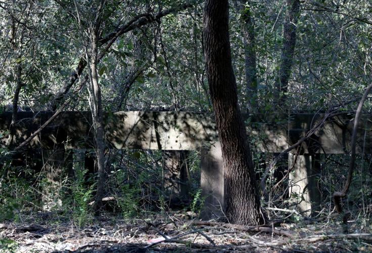 Hitchcock's Camp Wallace ruins revealed after 75 years | Local News ...