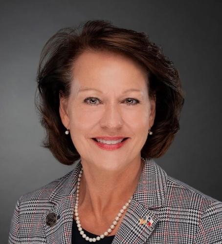 Friendswood City Council races focus on flooding, growth ahead of ...