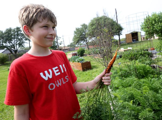 Young Galveston gardeners see success at first sale | Local News | The ...