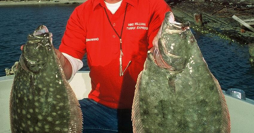 Rigging for flounder and more catches | Reel Report | The Daily News