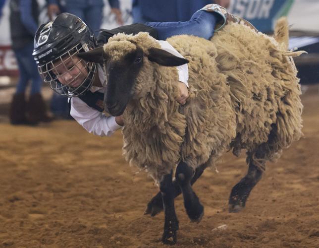 87th annual Galveston County Fair & Rodeo has busy weekend | Local News ...