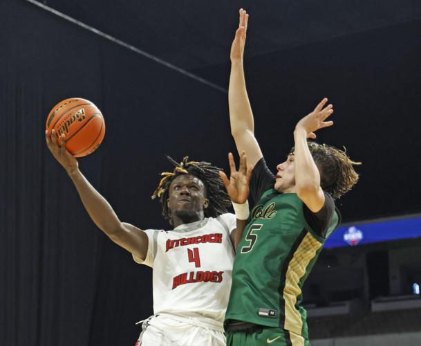Hitchcock clamps down on Cole, moves onto state final | High School ...