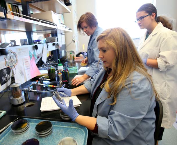 'Behind the curtains' in Texas' only oyster-testing lab | Local News ...