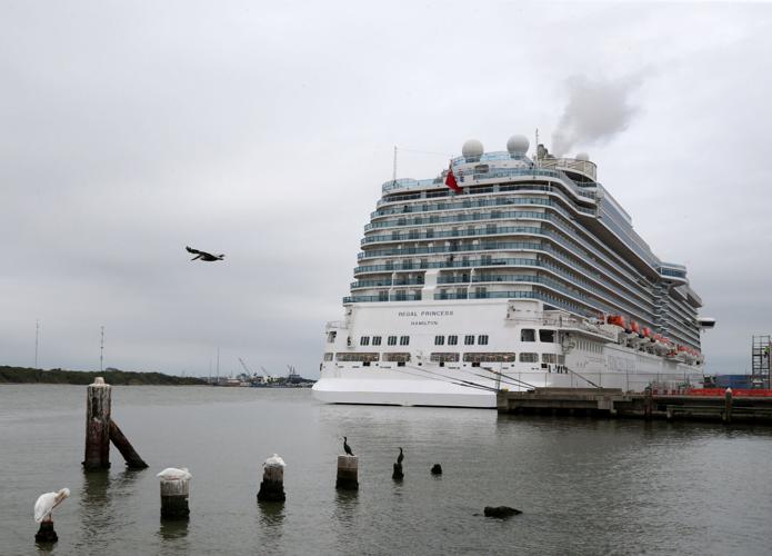 princess logout skip