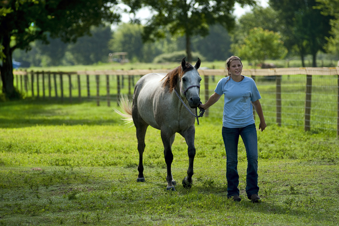 For many coastal families, ranching is a family tradition | Features ...