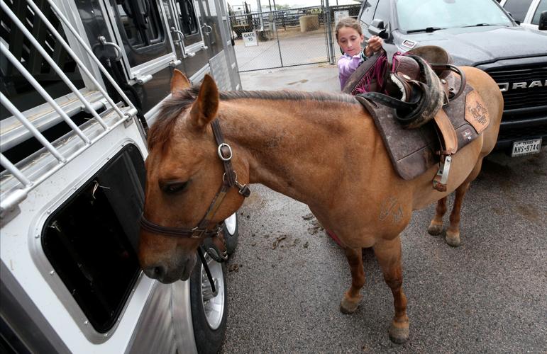 Galveston County Fair & Rodeo continues | Local News | The Daily News