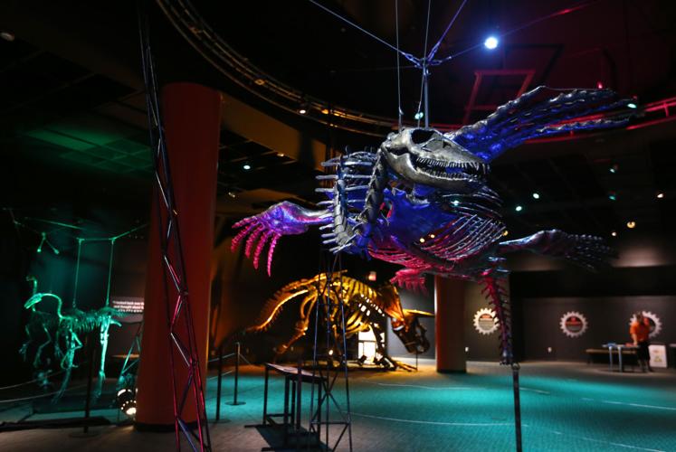Interactive dinosaur exhibit on display at Moody Gardens | Leisure ...