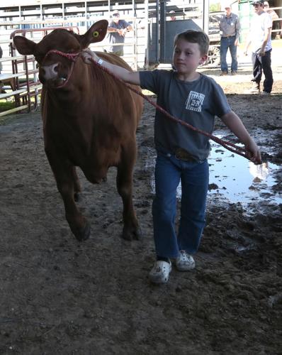 Galveston County Fair & Rodeo continues in Hitchcock | Local News | The ...
