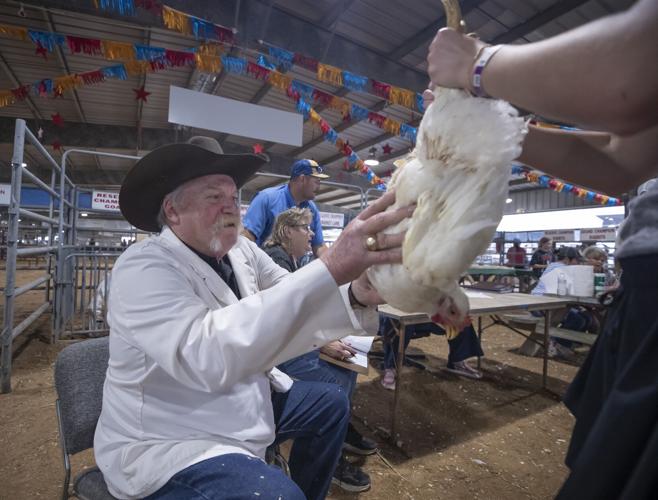 87th annual Galveston County Fair & Rodeo has busy weekend | Local News ...