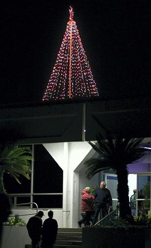Tree of Lights to support Hospice | Local News | The Daily News