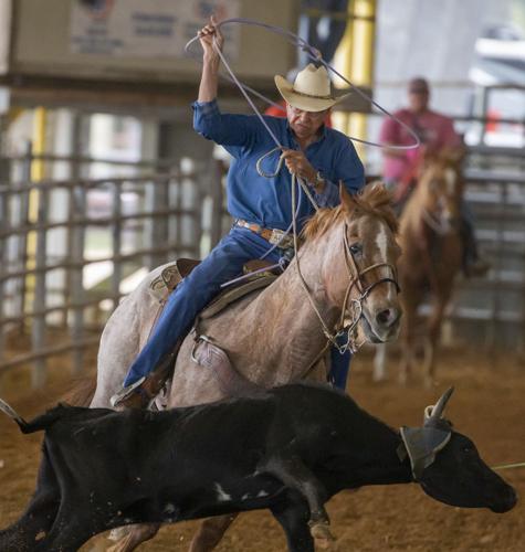 Galveston County Fair & Rodeo | Local News | The Daily News