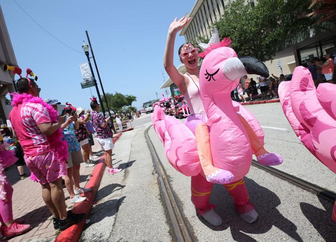 Flamingo fans celebrate with flamboyant parade | Local News | The Daily ...