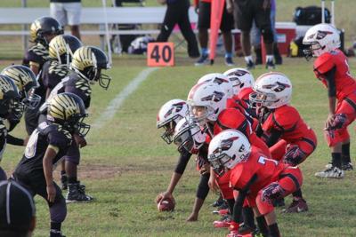 Youth football title something to be celebrated in Hitchcock | Booth ...