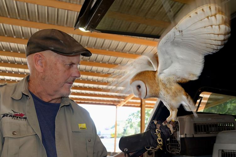 Raptor Project brings predators to Texas State Forest Festival ...