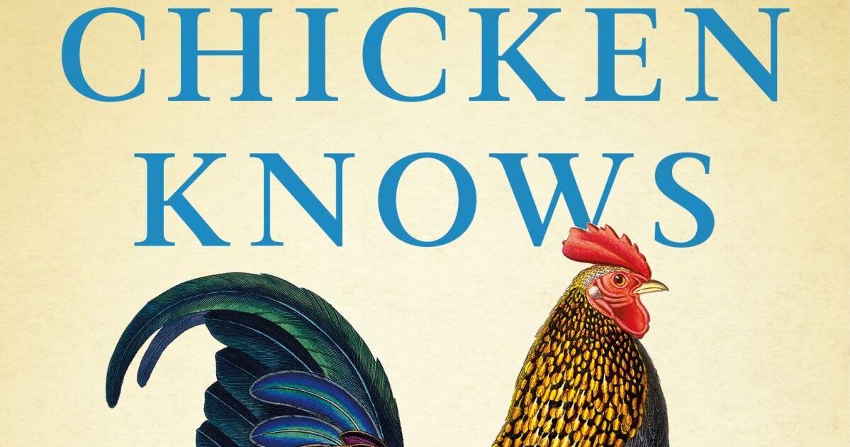 'What the Chicken Knows' will make you a chicken lover | Books | The ...