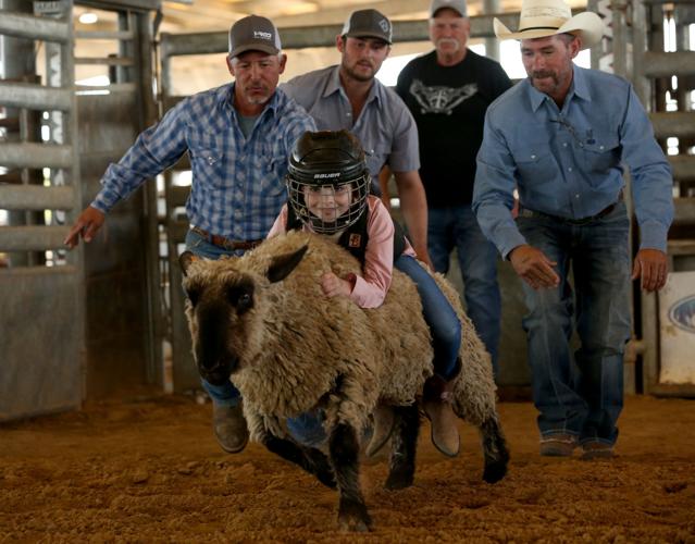 Galveston County Fair & Rodeo events gearing to go but with limited ...