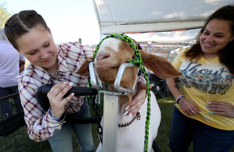 Galveston County Fair & Rodeo continues | Local News | The Daily News
