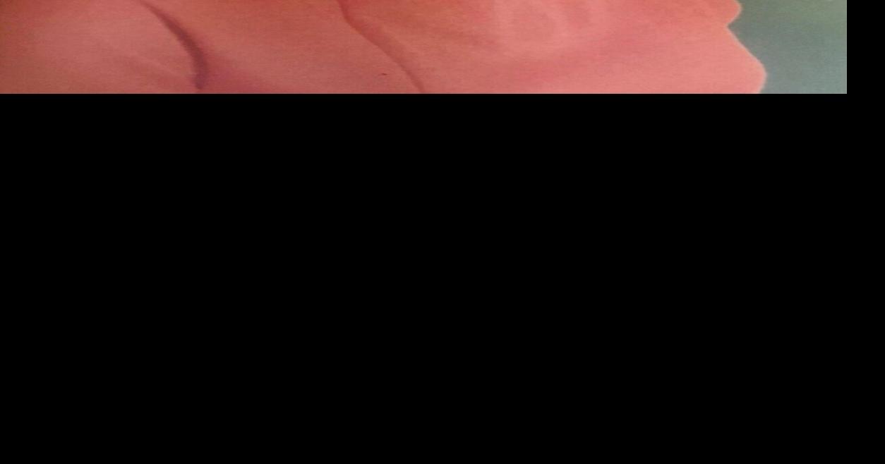 Brenda Faust | Obituaries | The Daily News