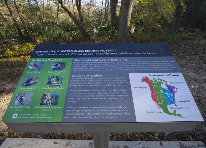League City grooms itself to become birding destination | Local News ...