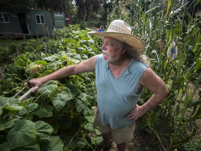 Vision Galveston buys land to preserve urban farm | Local News | The ...