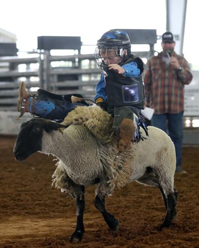 Photos: Saturday at the Galveston County Fair & Rodeo | In Focus | The ...