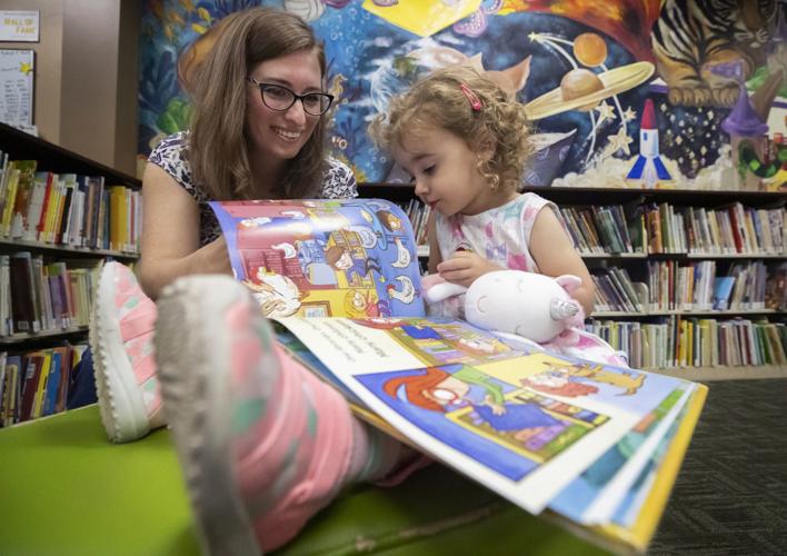 Big library numbers deserve more research, council says | Local News ...
