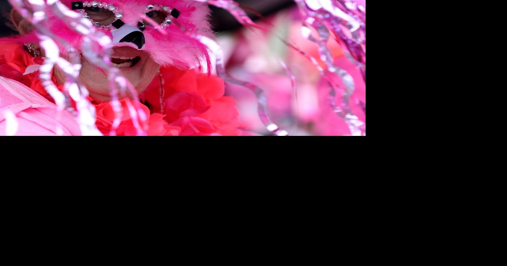 Flamingo-themed golf carts flock to downtown Galveston | Local News ...