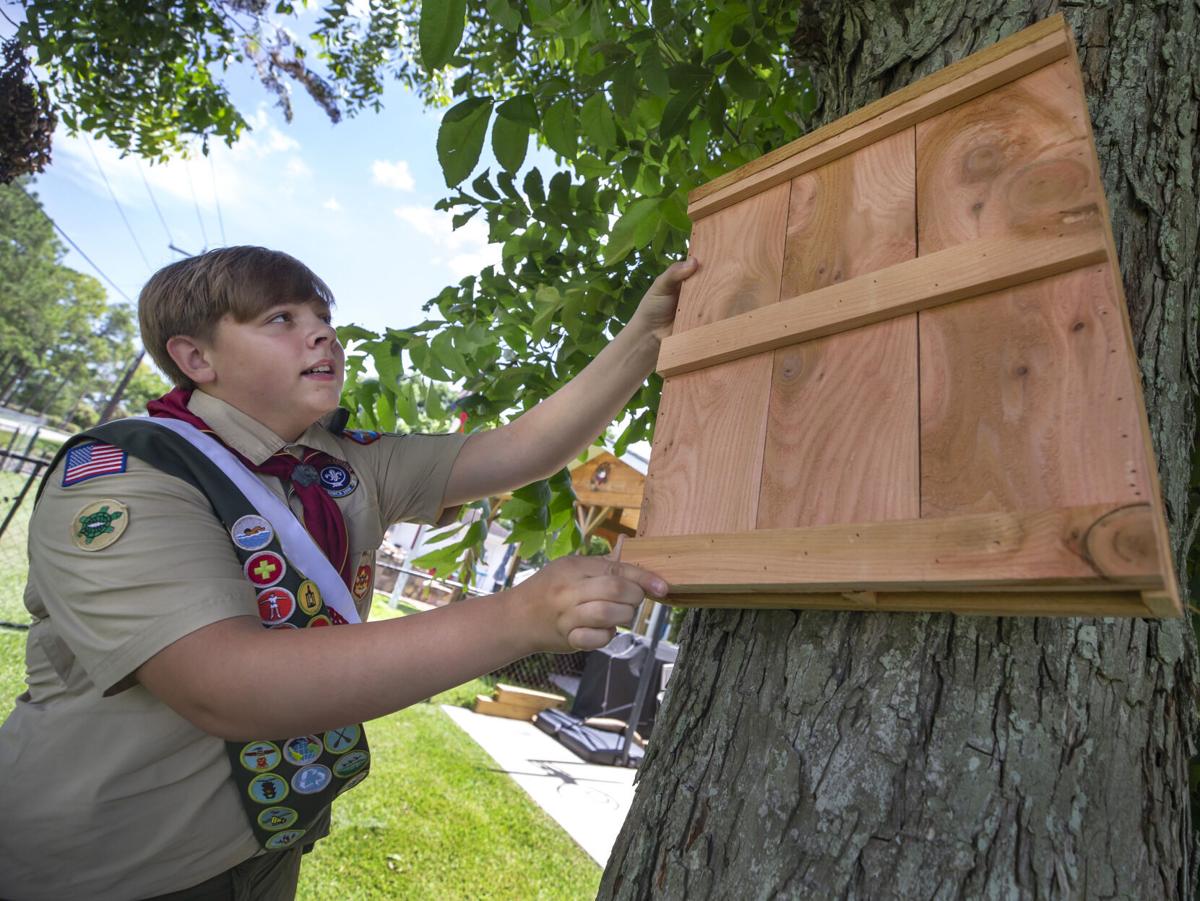 Santa Fe Boy Scout to install bat houses for mosquito control | Local ...