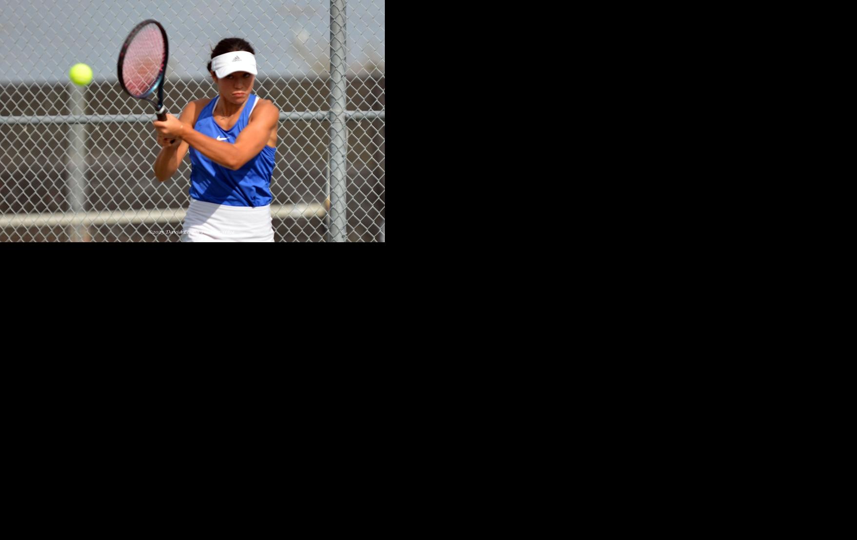Friendswood's sustained success headlines year in tennis | What's All ...