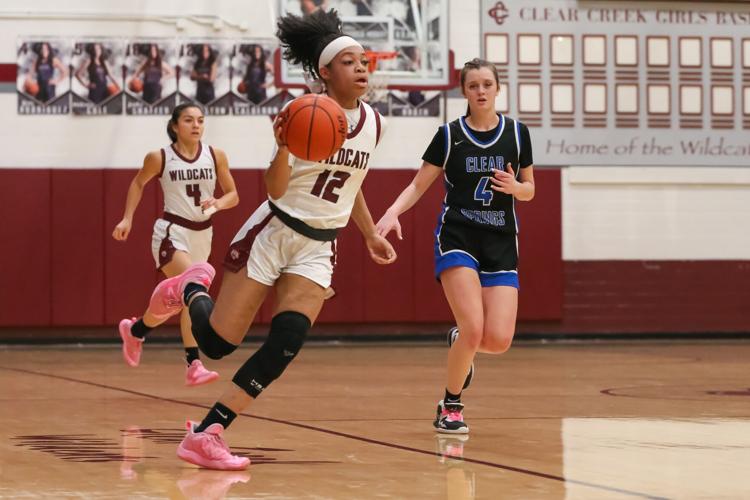 Plenty awards to be had for locals in 24-6A all-district girls ...