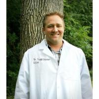 Family of girl files lawsuit against veterinarian | Local News | The ...