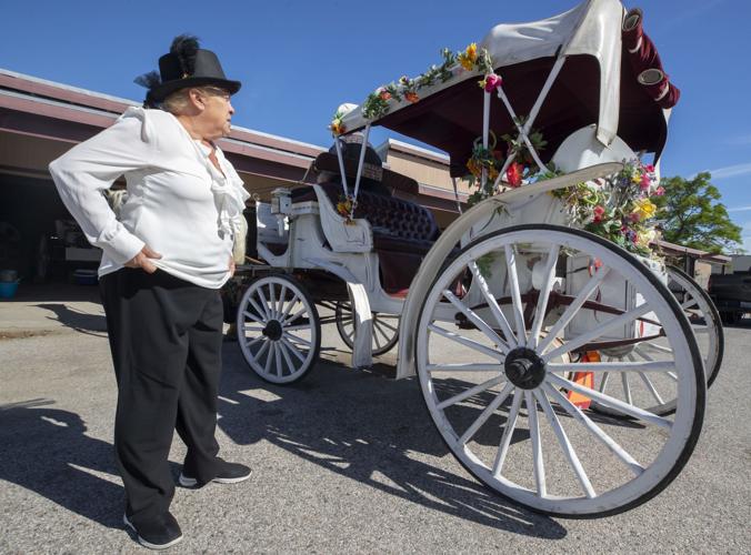 Galveston carriage operation out of pasture in port land buy | Local ...