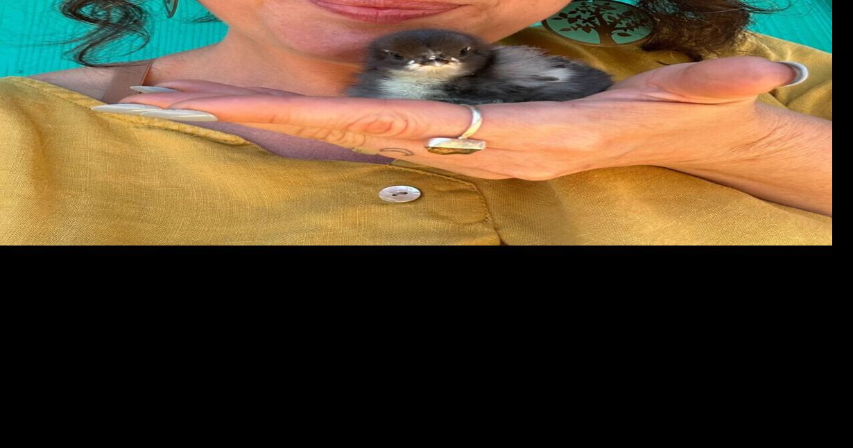 Amy Argubright | Special Sections | The Daily News