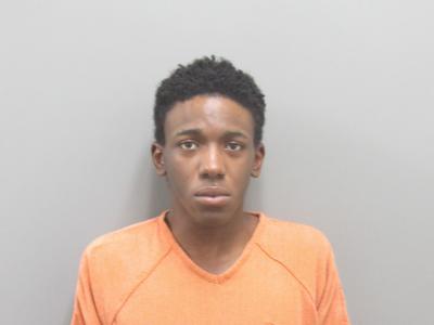 Flock cameras help League City police find stolen vehicle | Local News ...