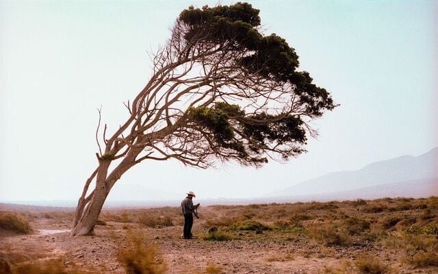 "Catching Dust" takes viewers to the unique area of West Texas ...