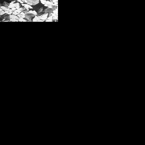 Juan Esparza Marez Jr. | Obituaries | The Daily News