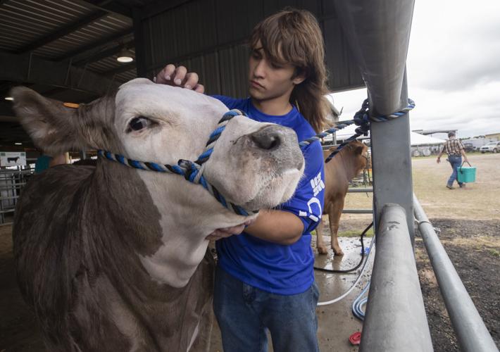 85th annual Galveston County Fair & Rodeo kicks off | Local News | The ...