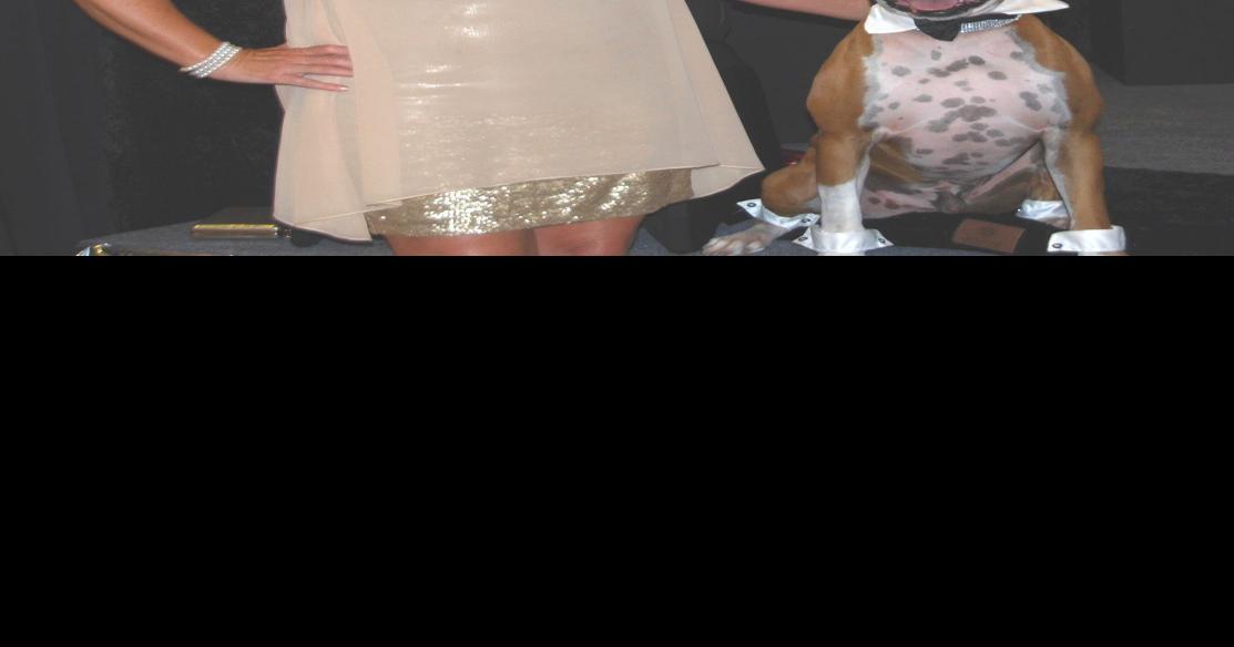 New parade route for 18th annual Krewe of Barkus & Meoux Mardi Gras ...