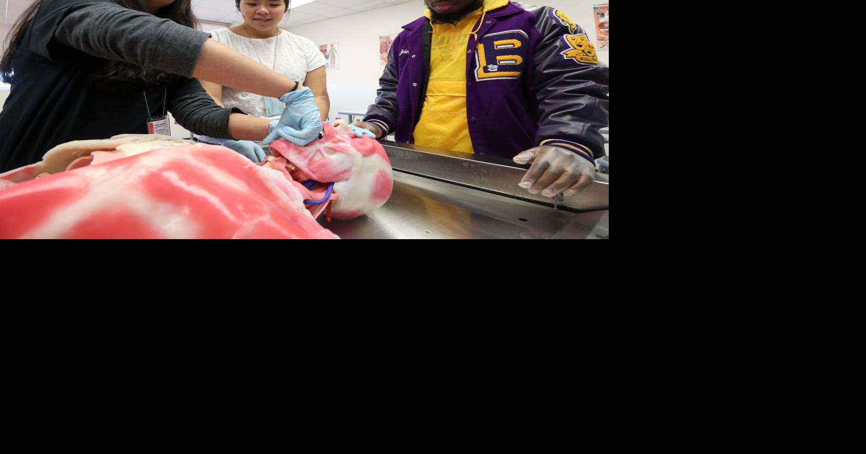 Synthetic cadaver breathes life into Ball High classes | Local News ...