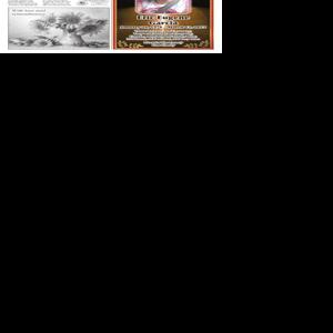 Page C1 | Daily News E-Edition | The Daily News