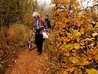 City Council votes to buy Section 16! | News | gazette.com