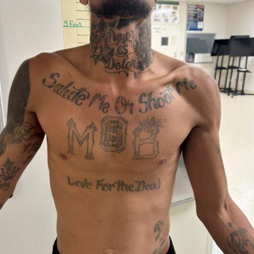 Venezuelan gang Tren de Aragua in Colorado: Here's what we know | News | gazette.com