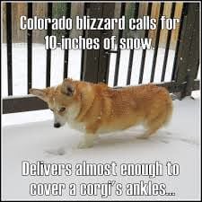 Blog: Best Colorado weather memes | News | gazette.com