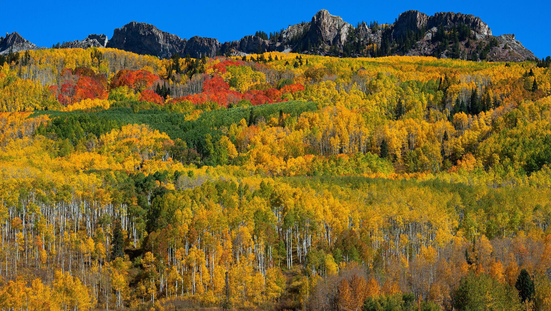 5 fall color drives in Colorado through massive aspen groves ...