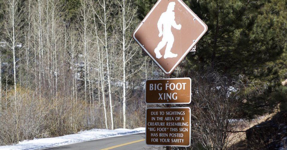 Bigfoot report describes odd encounter in Colorado's Summit County ...