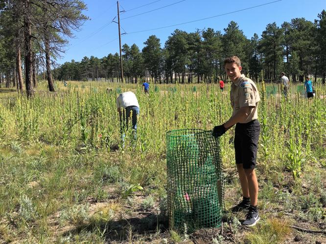 Volunteers construct new nature trail at Academy School District 20's ...