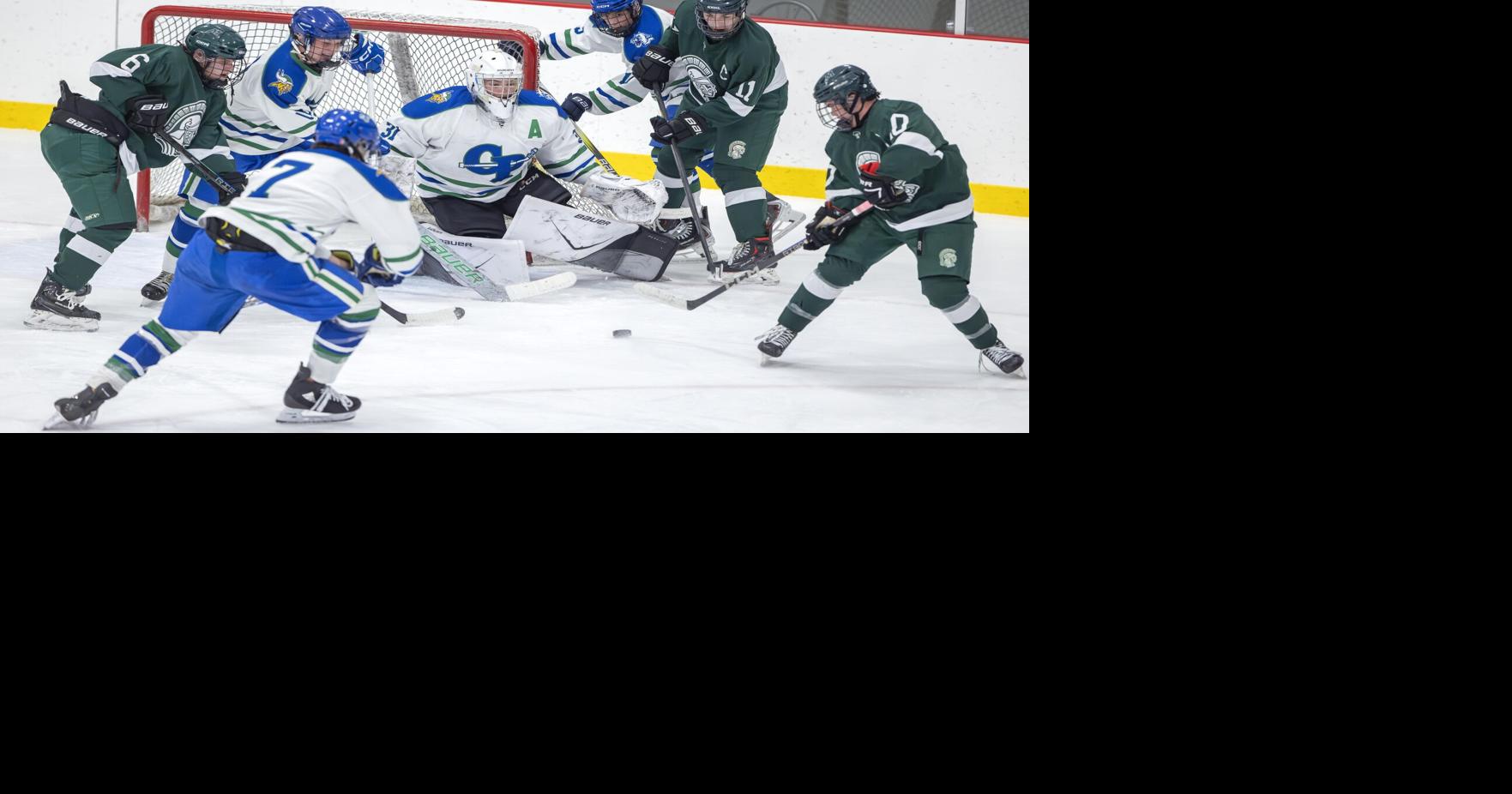 Boys' hockey: Bluebirds depend on experienced goaltender and offfensive ...